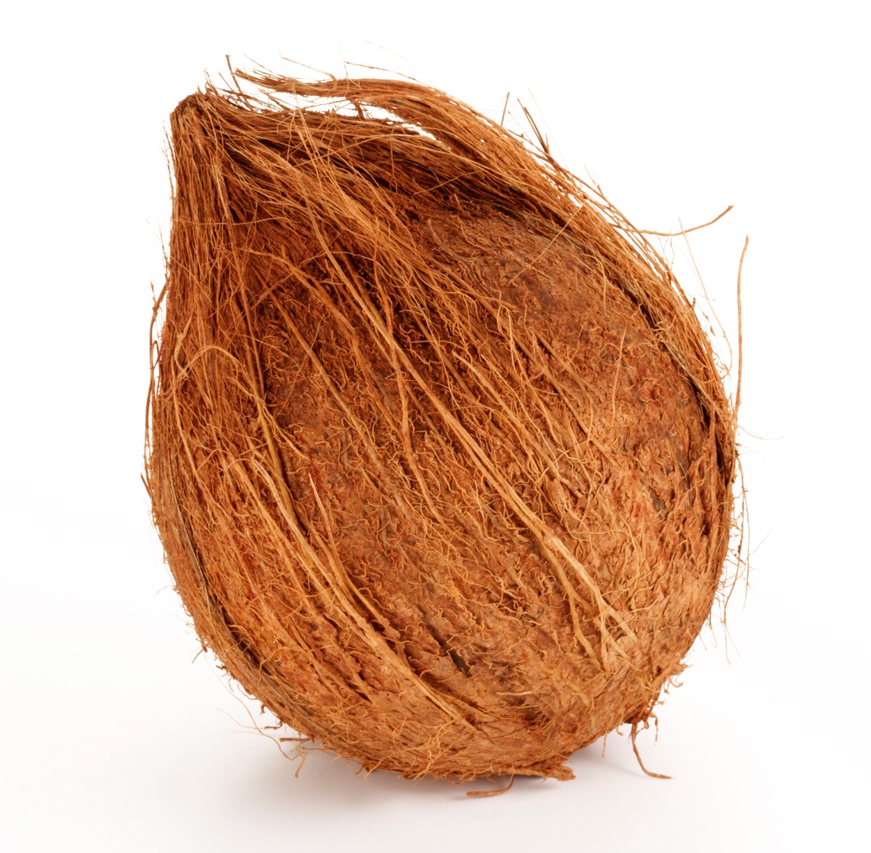 Kako pravilno odpreti kokosov oreh (video) | Moški.siMoški.si