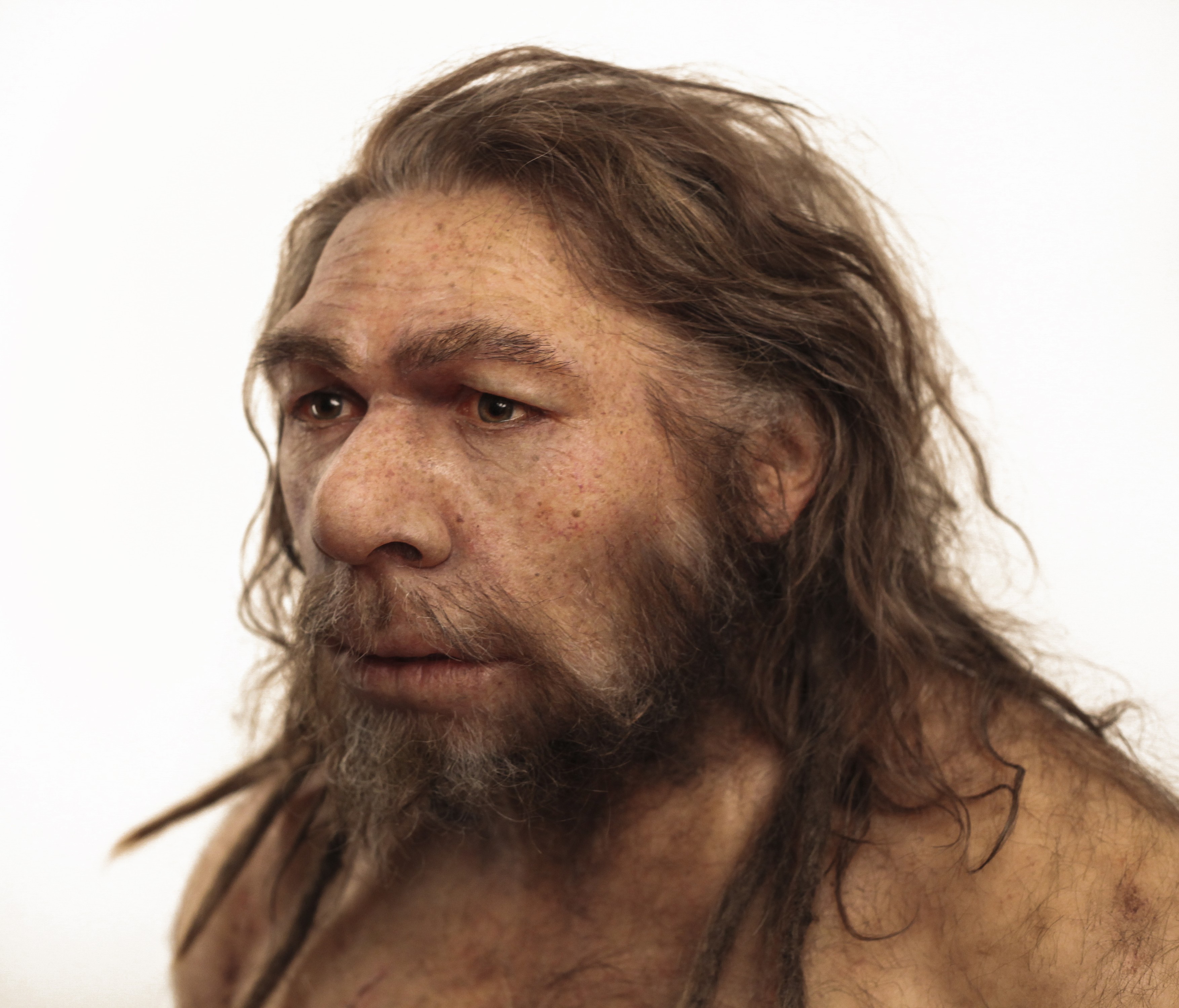 Znanstveniki imajo novo teorijo glede izumrtja neandertalcev